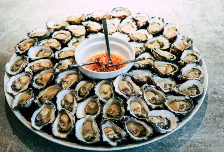 Top 5 Best Serving Platter Covers 2025 - Pixelfy blog